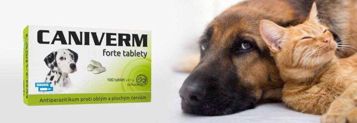 CANIVERM FORTE tablety 6x0,7g | etabletka